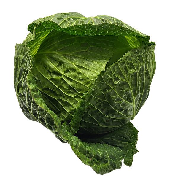 Irish grown Savoy Cabbage - Ardkeen Quality Food Store